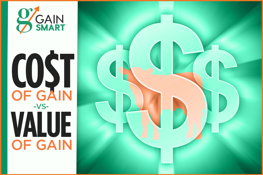 Gain Smart® is the Smart way to Gain Profits - Gain Smart