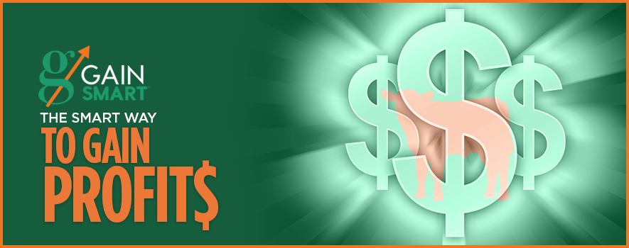 Gain Smart® is the Smart way to Gain Profits - Gain Smart