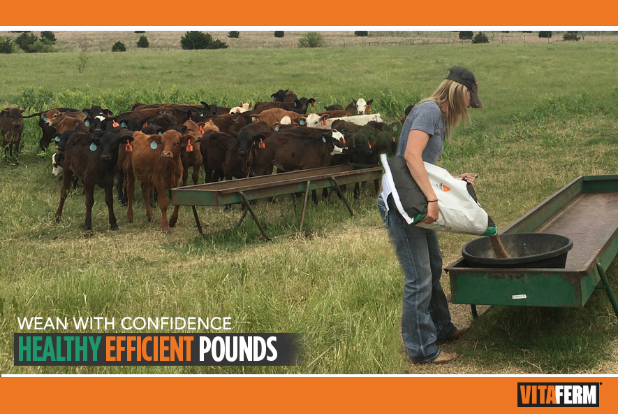 Wean with Confidence with the Gain Smart Program - Gain Smart