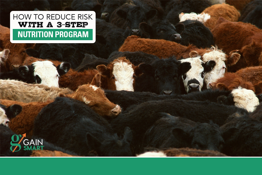 How to Reduce Risk with a 3-Step Nutrition Program - Gain Smart