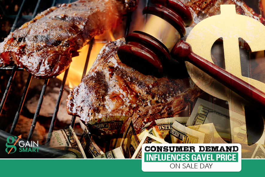 Consumer Demand Influences Gavel Price on Sale Day - Gain Smart