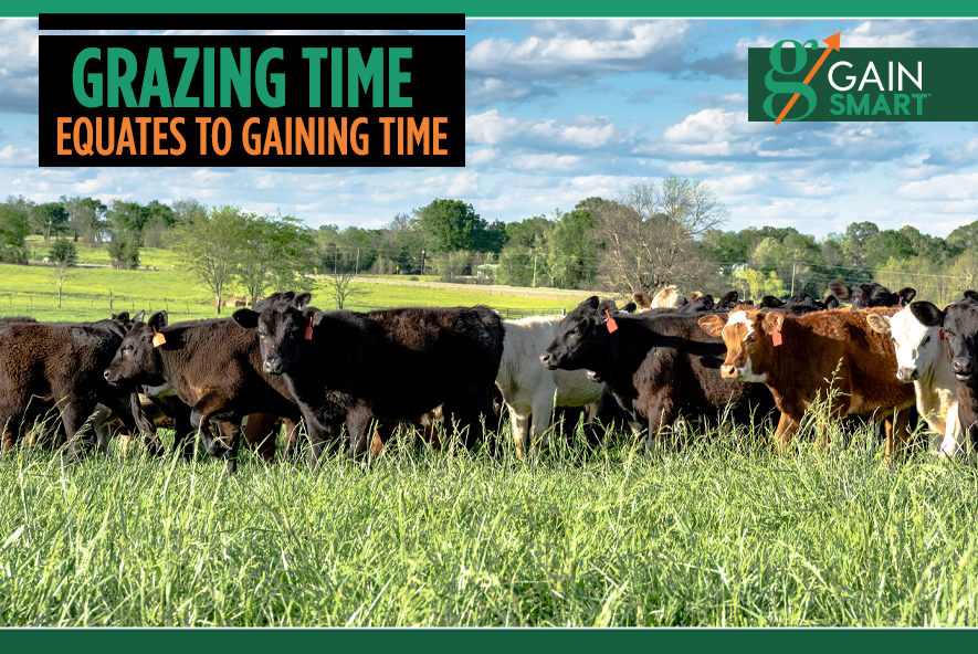 Grazing Time Equates Gaining Time - Gain Smart