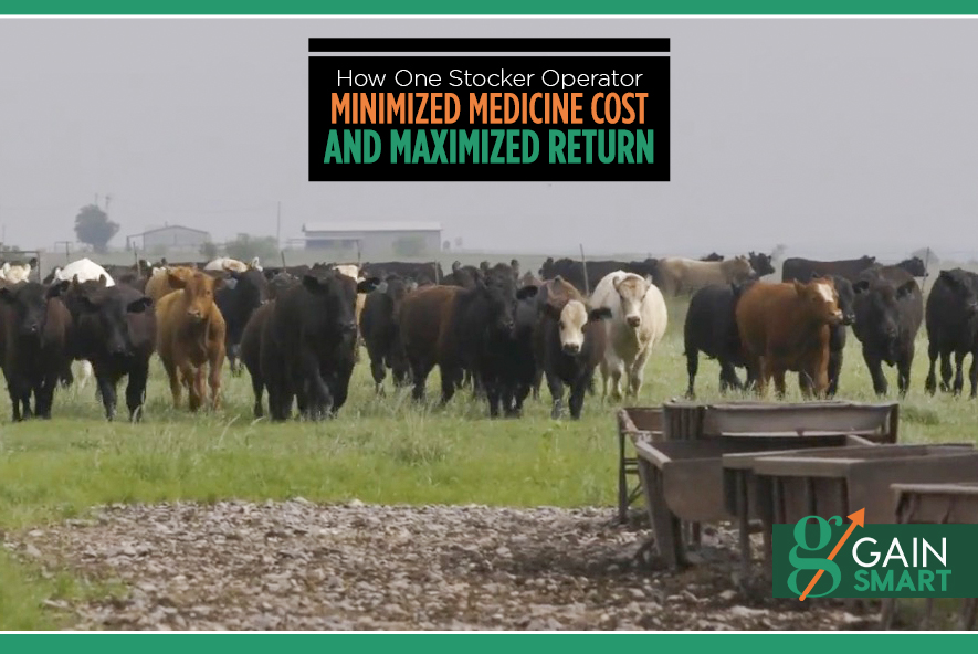 How One Stocker Operator Minimized Medicine Cost and Maximized Return ...
