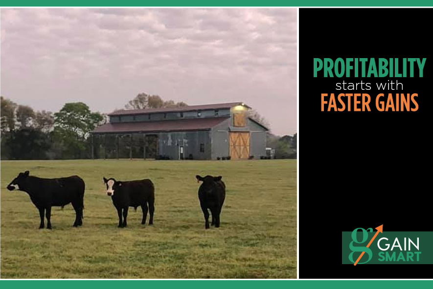 Profitability Starts with Faster Gains - Gain Smart