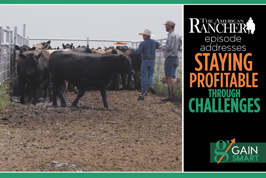 American Rancher Episode Addresses Staying Profitable through ...