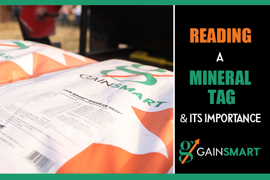 The Importance of Reading a Mineral Tag - Gain Smart