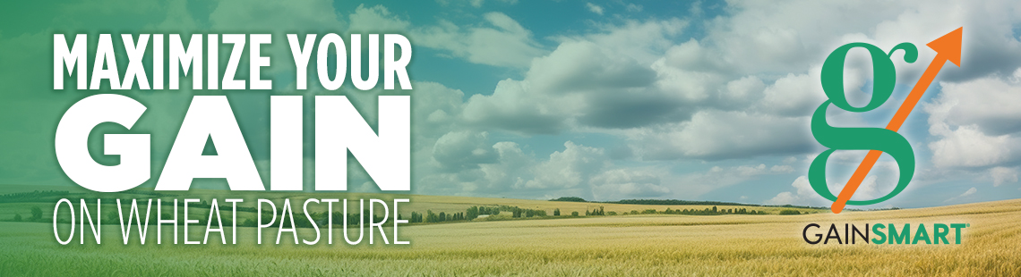 Homepage - Gain Smart