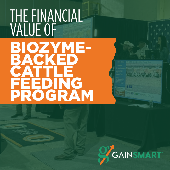 The Financial Value of BioZyme®-backed Cattle Feeding Program - Gain Smart