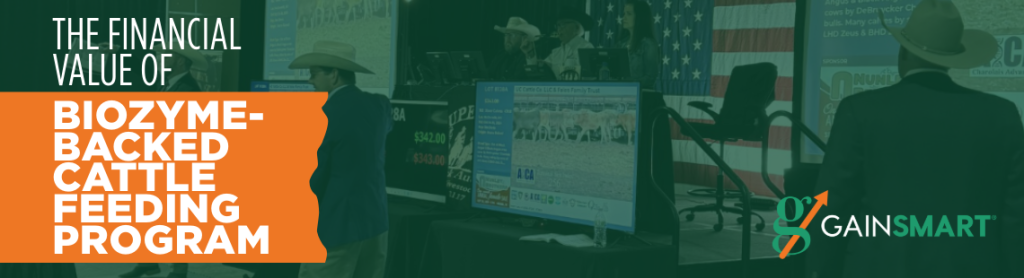 The Financial Value of BioZyme®-backed Cattle Feeding Program - Gain Smart