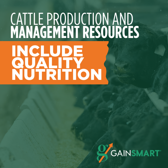 Cattle Production and Management Resources Include Quality Nutrition