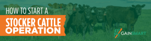 How to Start a Stocker Cattle Operation - Gain Smart