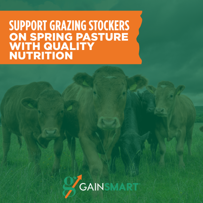 Homepage - Gain Smart